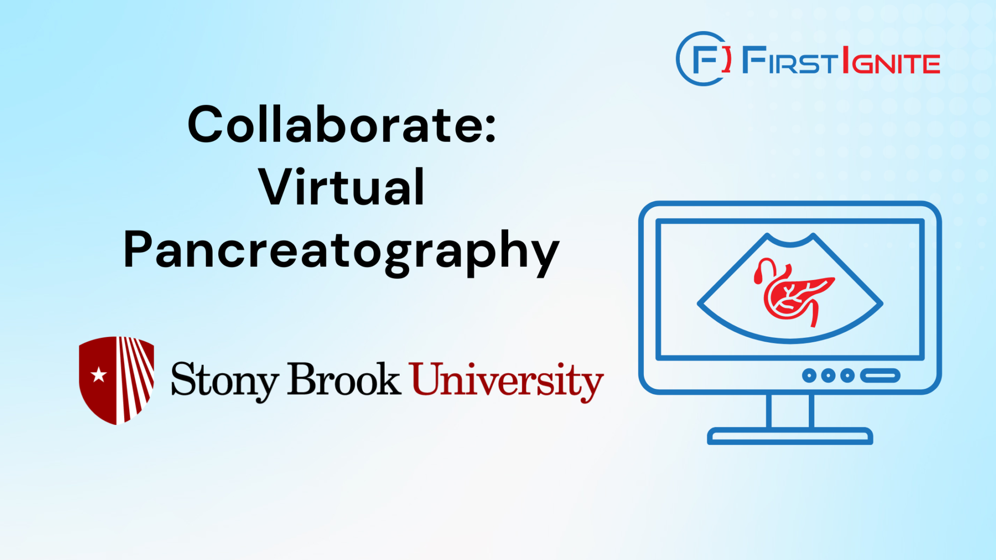 Collaborate: Virtual Pancreatography - FirstIgnite